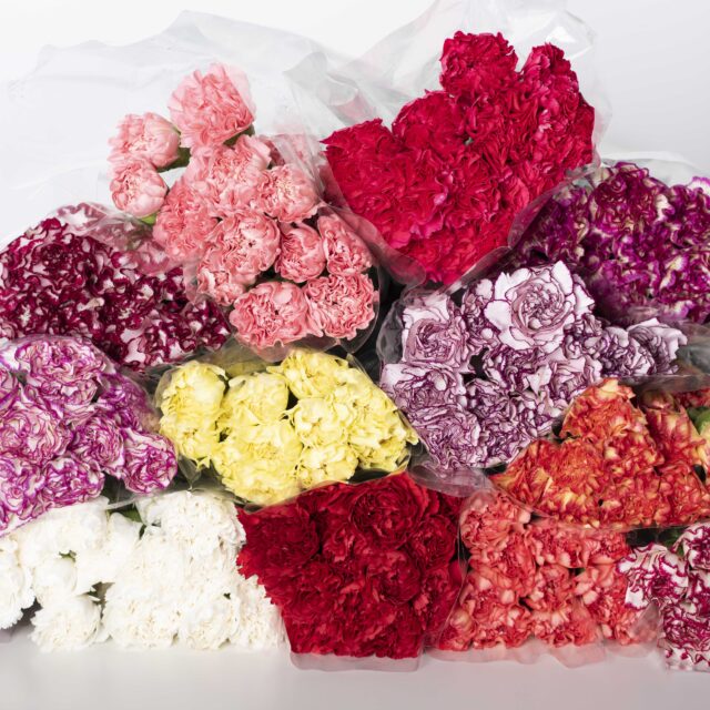 Türkiye – Turkuaz Flowers